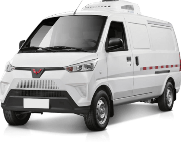 Wuling G100 Electric Refrigerated Cargo Van - EuroAsiaGroup